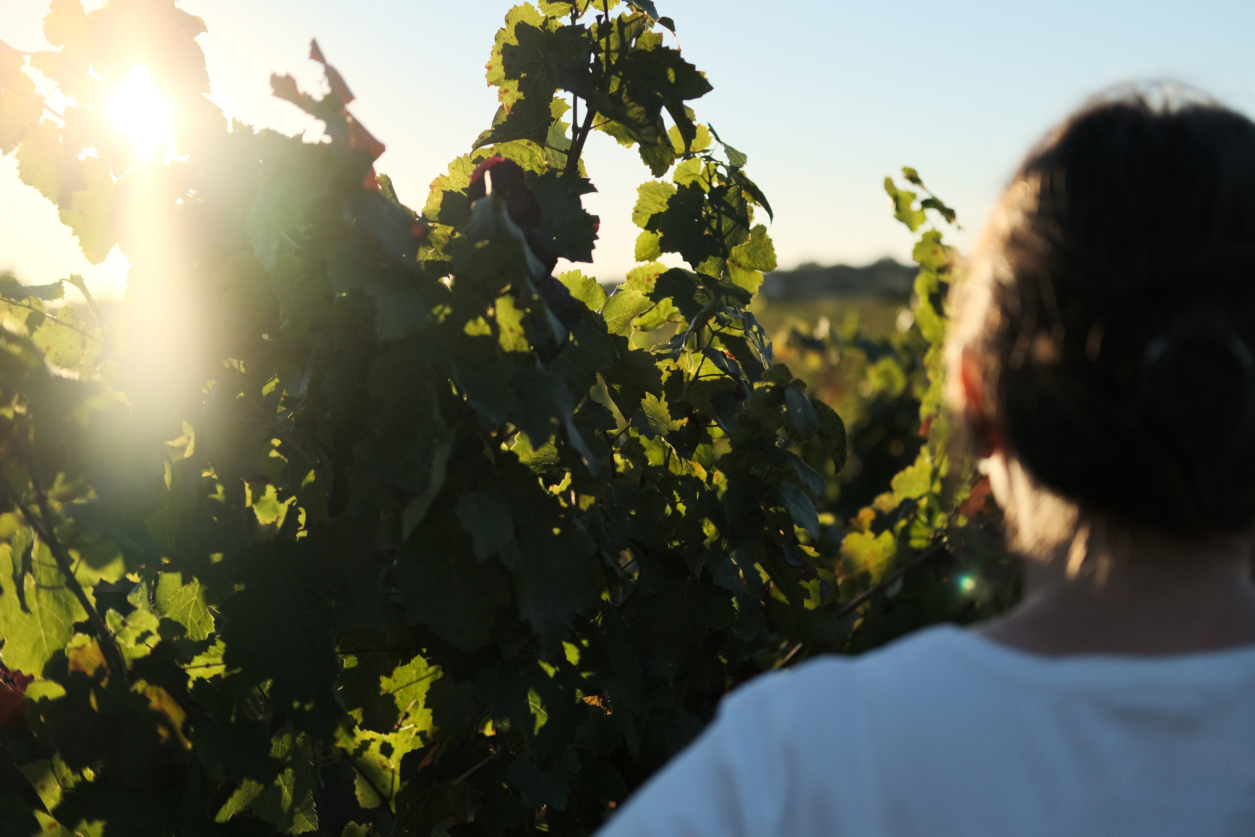 Séminaire immersion RSE